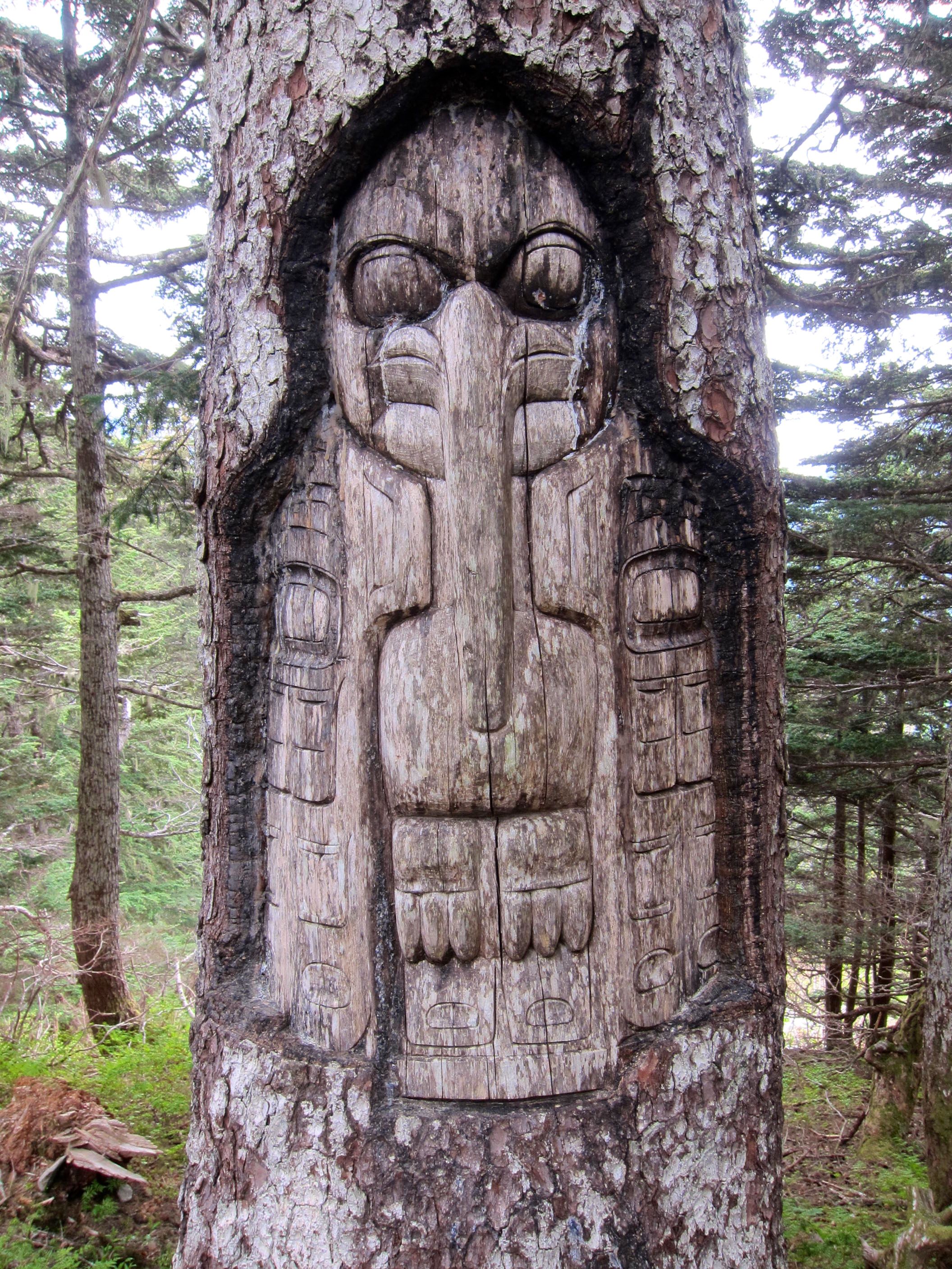 Juneau | andrew d meyer