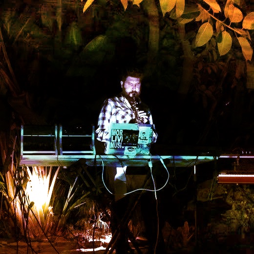 Goa Variations Album Reviews | andrew d meyer